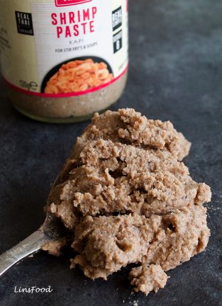 Belacan (aka Shrimp Paste, Terasi and Kapi)